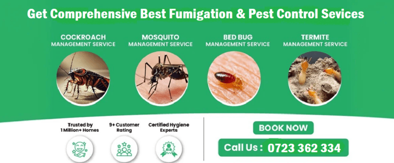 How to Get Rid of Pests in Nairobi Best Ways to Control and Remove ...